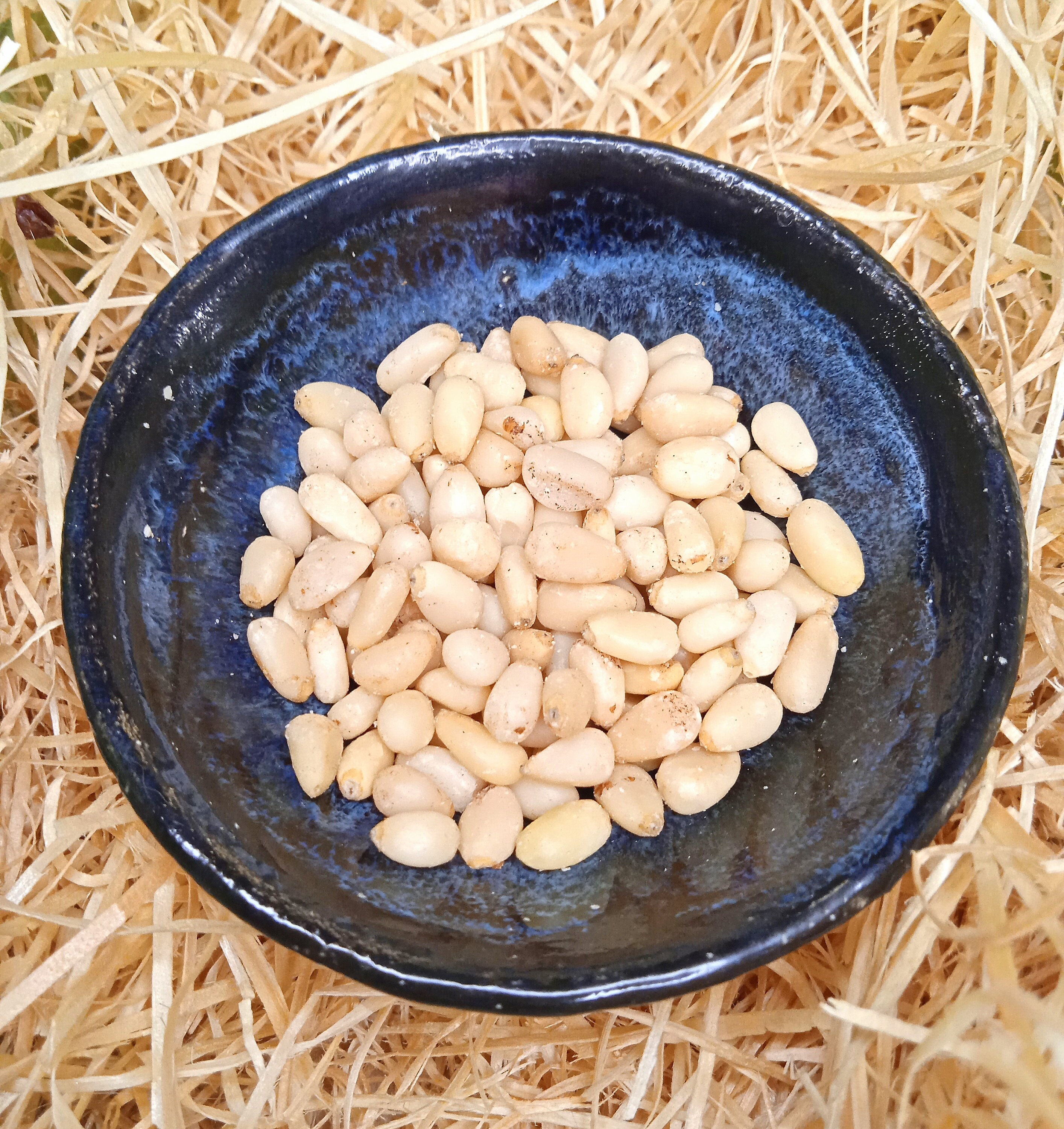 Siberian Pine Nut kernels Siberian Cedar Nut 2020 Harvest | Etsy