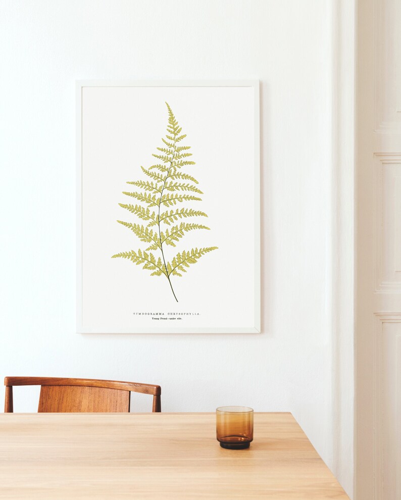 Fern Art Fern Leaf Art Leaf Art Vintage Leaf Art Botanical - Etsy UK