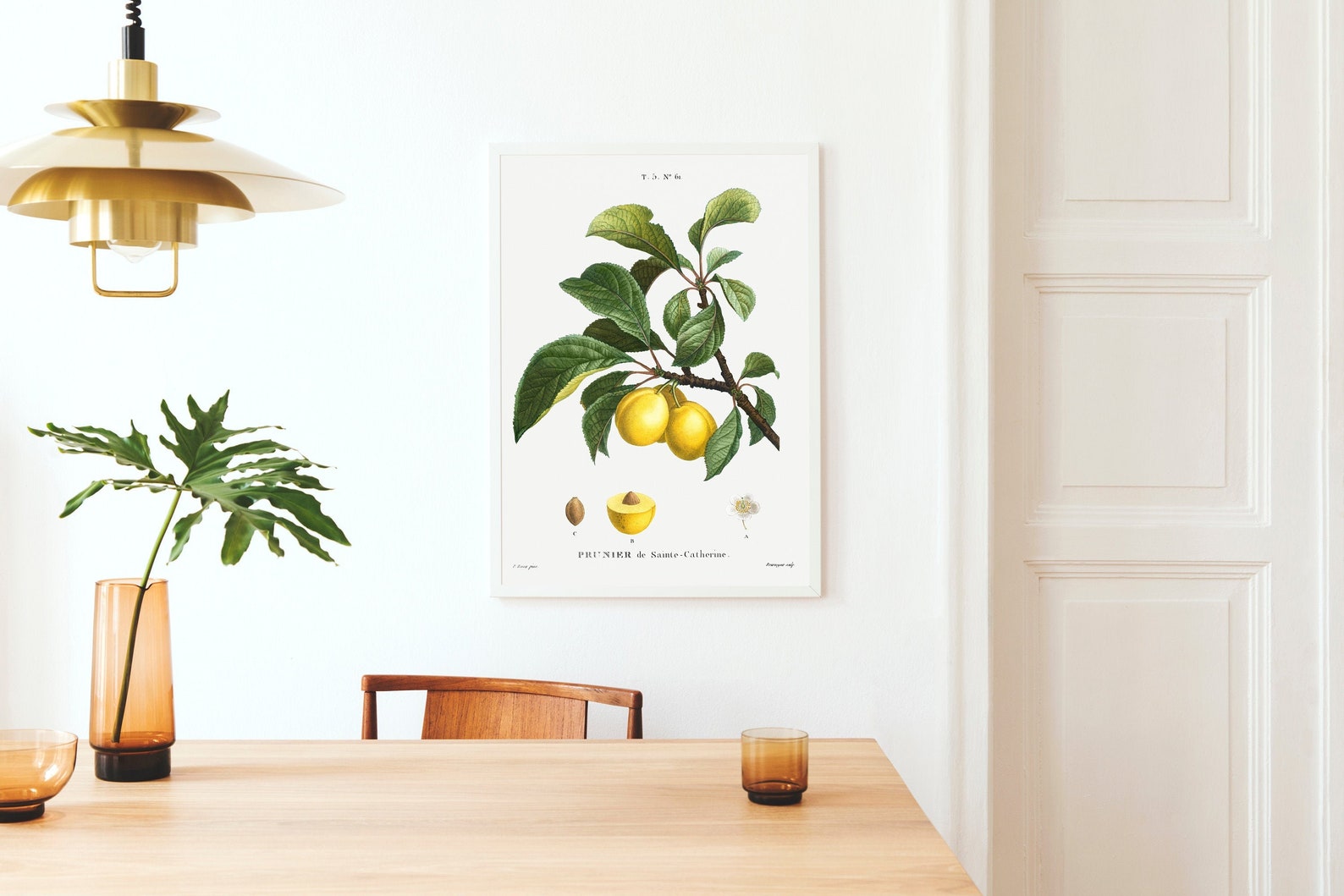 Plum Art Plum Art Print Plum Wall Art Fruit Art Yellow - Etsy