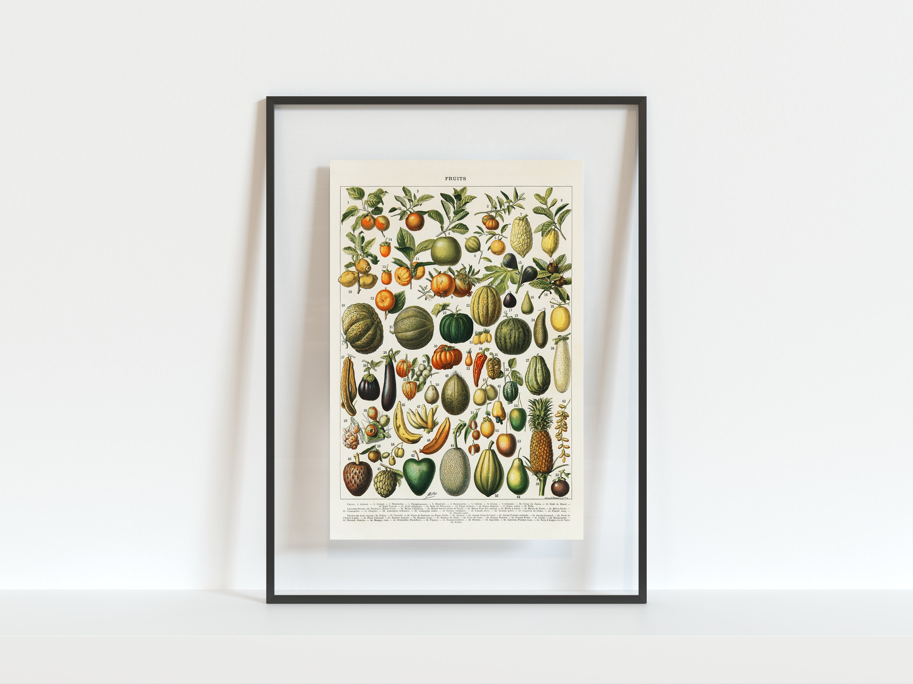 Vintage Vegetable Poster Fruit and Veg Art Vegetable Art - Etsy UK