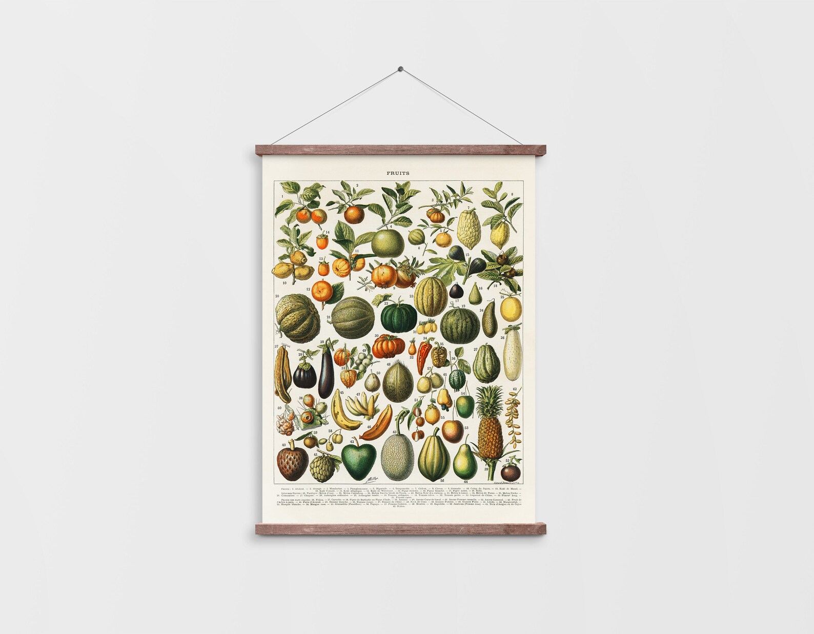 Vintage Vegetable Poster Fruit and Veg Art Vegetable Art - Etsy UK