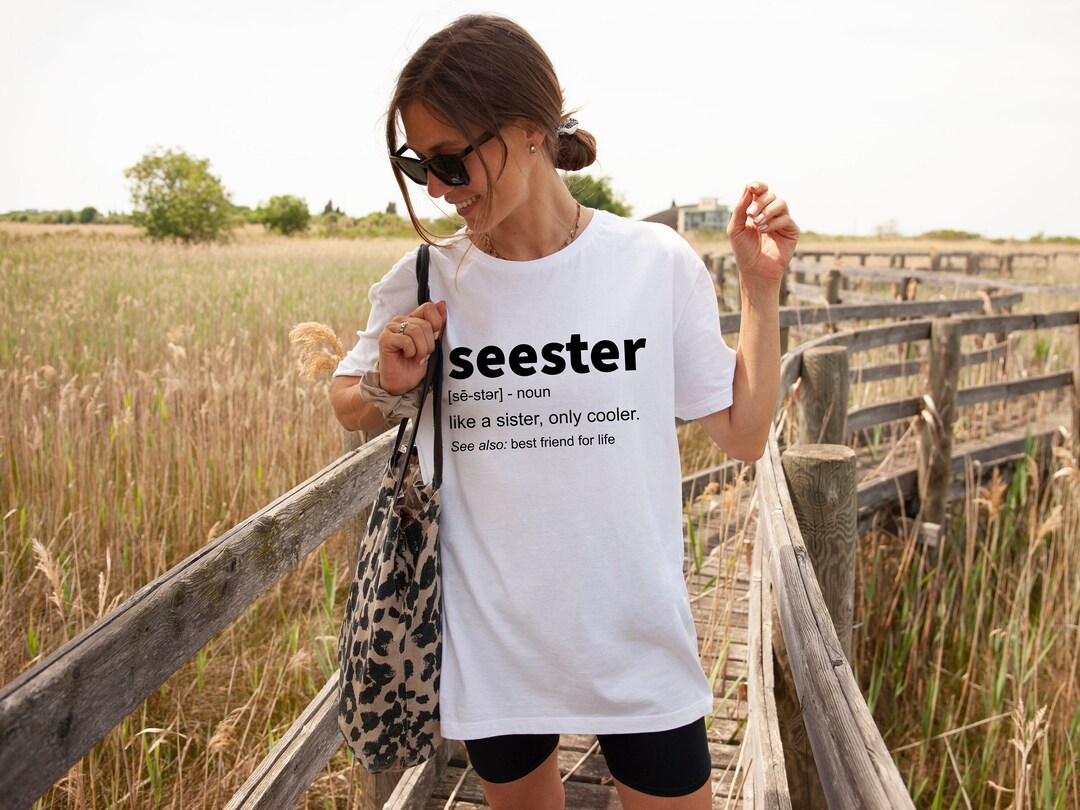 Seester Noun Shirt, Seester Definition Tee, Best Sister Gift, Comfort ...