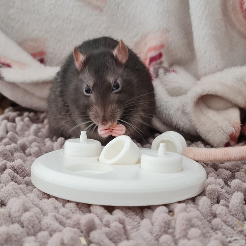 Mouse Puzzle Cup Toy Foraging Toy for Mice - Etsy UK