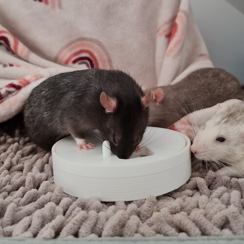 Rat Macrame Treat Pouch Foraging Toy - Etsy