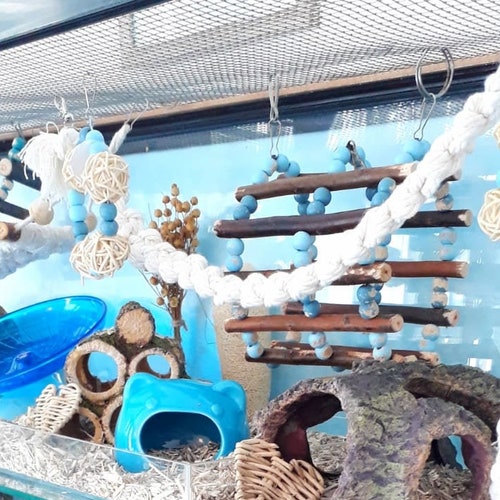 Mouse Climbing Rope - Etsy