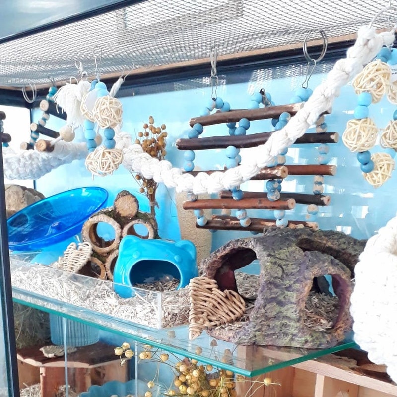 Mice Enclosure Toys - Etsy UK