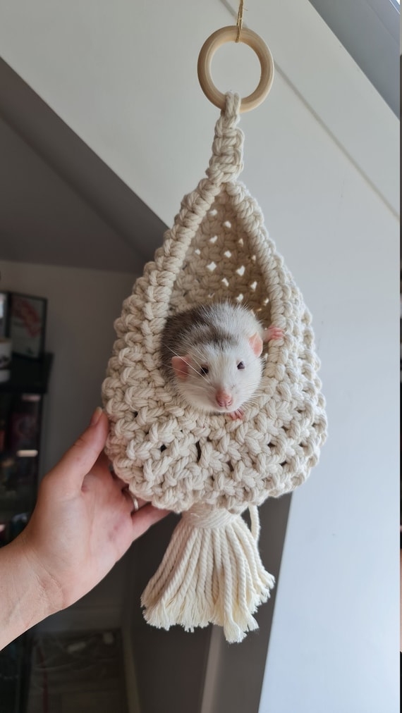 Hanging Rat Nesting Pod Macrame Pod - Etsy