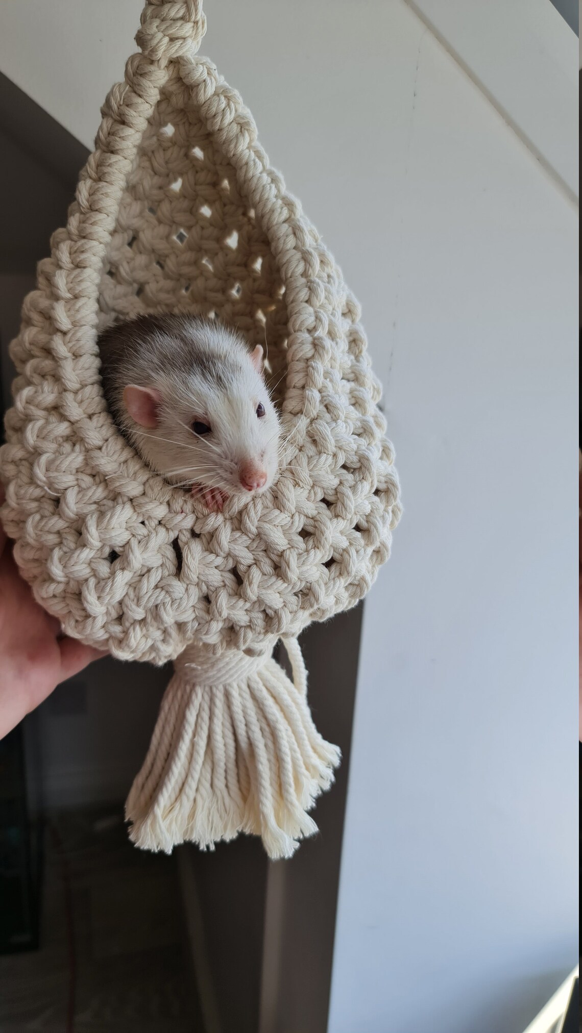 Hanging rat nesting pod macrame pod | Etsy