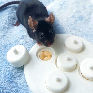 Mouse Puzzle Cup Toy, Foraging Toy for Mice - Etsy UK
