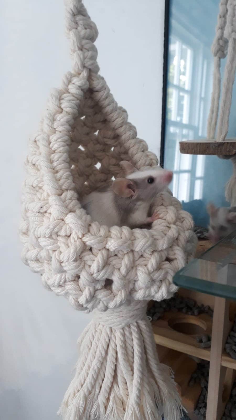 Hanging Mouse Nesting Pod, Macrame Pod - Etsy UK