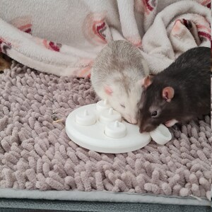 Rat Puzzle Cup Toy, Foraging Toy for Rats - Etsy