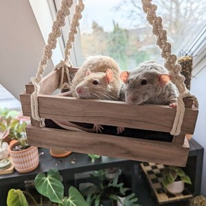 Rat Crate Bed - Etsy