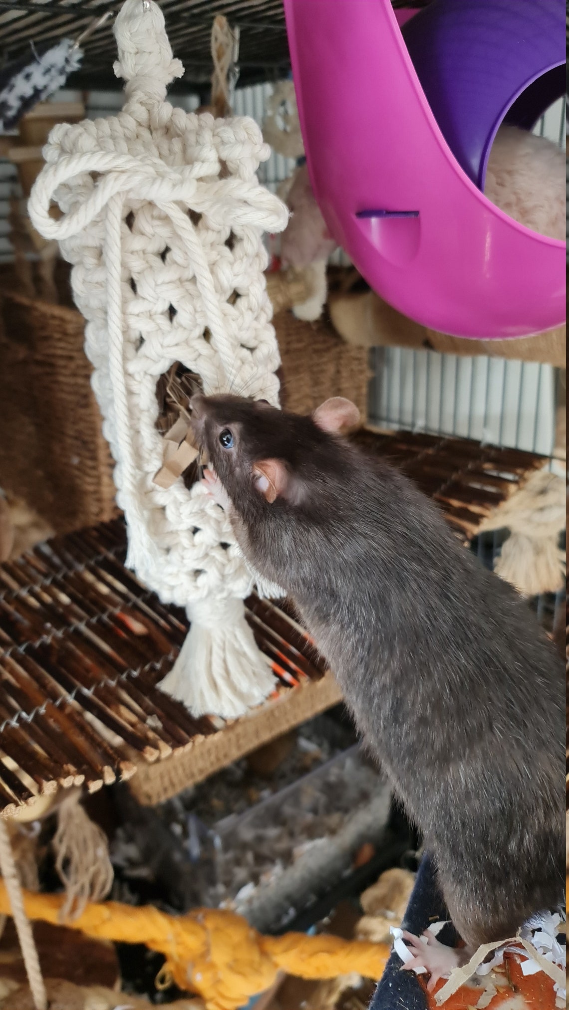 Rat Macrame Treat Pouch Foraging Toy - Etsy