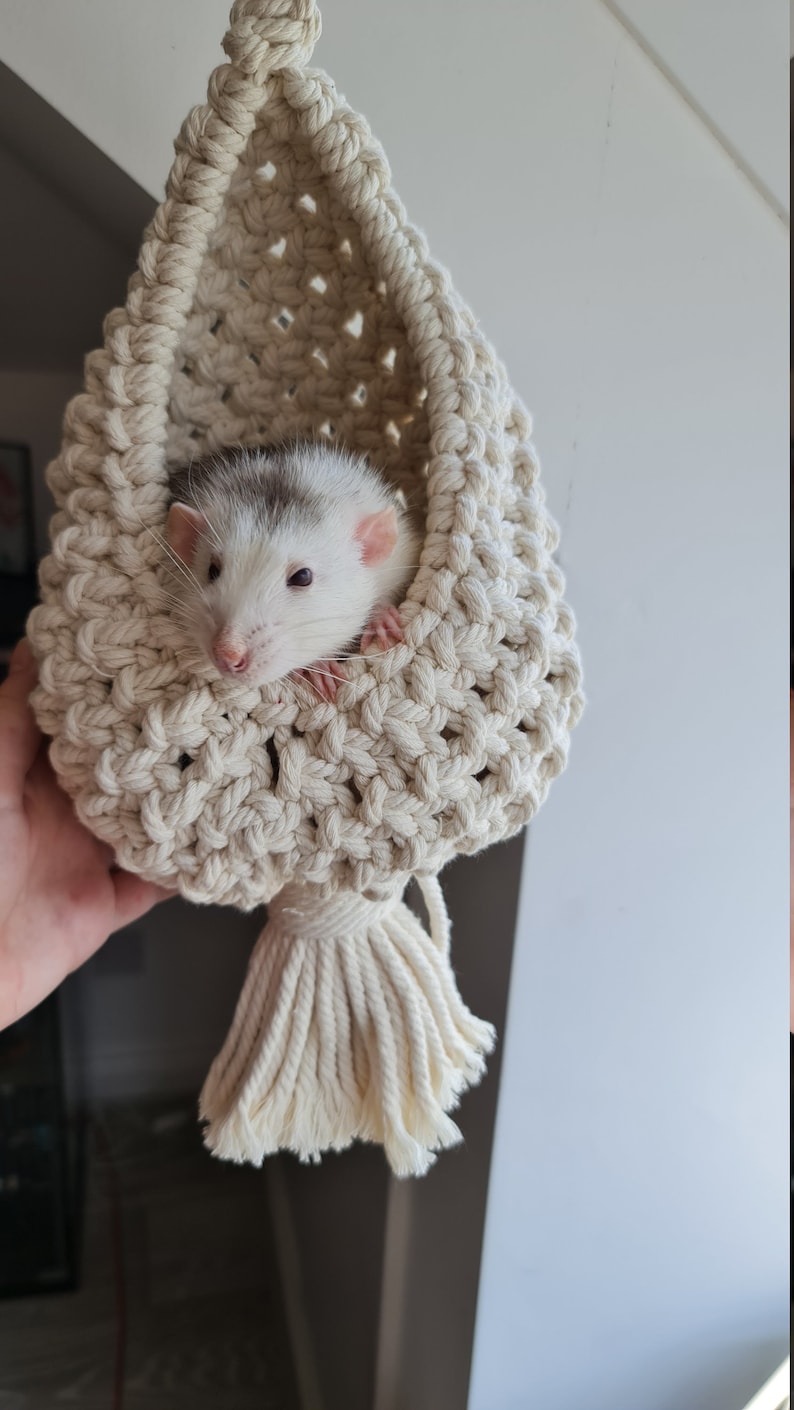 Hanging Rat Nesting Pod Macrame Pod - Etsy