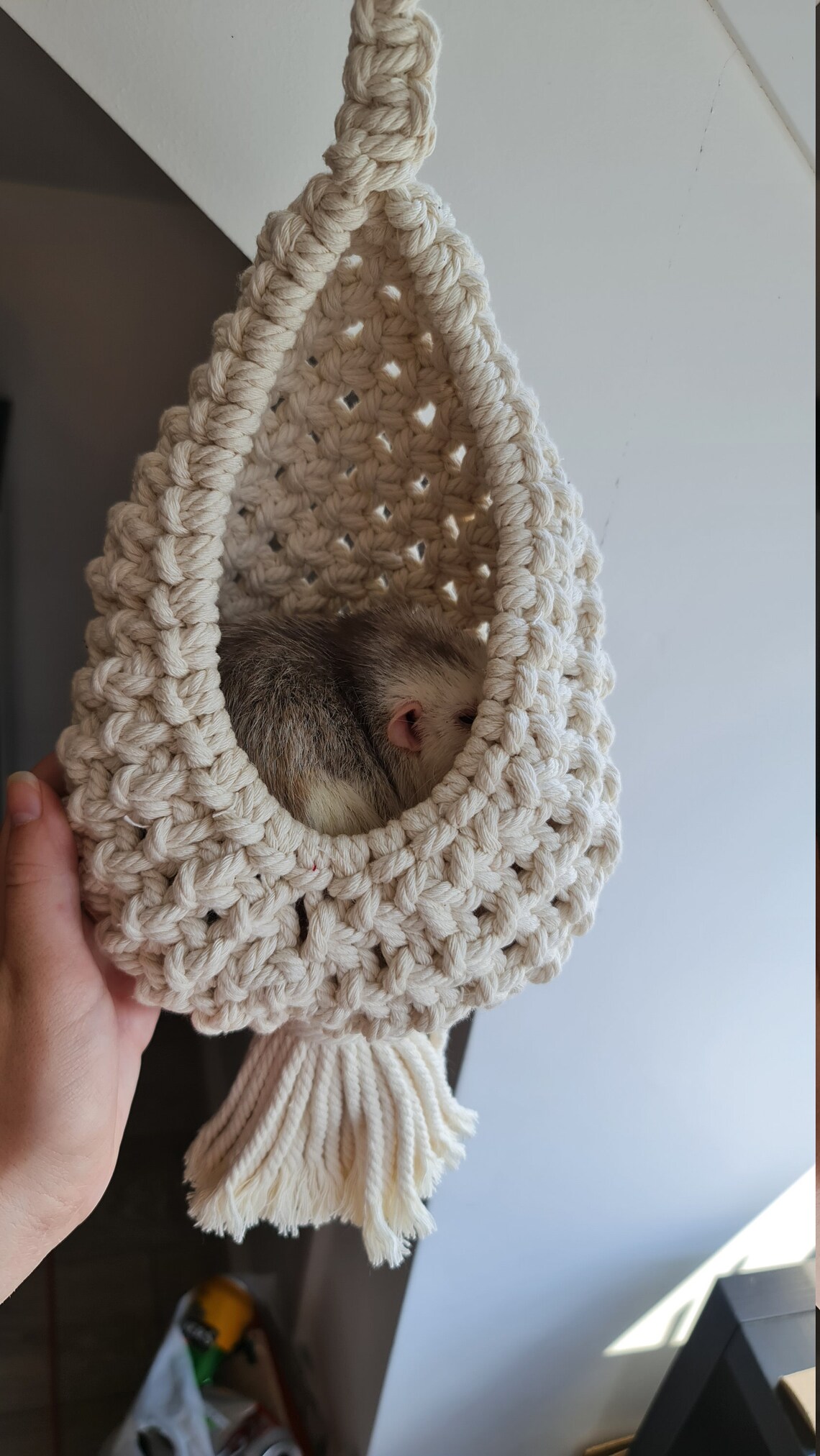 Hanging rat nesting pod macrame pod | Etsy