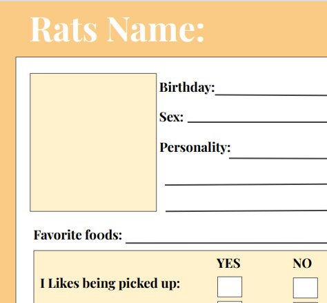 Rat Character Sheet 5 Different Colors - Etsy