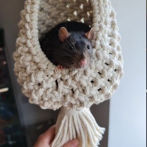 Hanging Rat Nesting Pod, Macrame Pod - Etsy UK