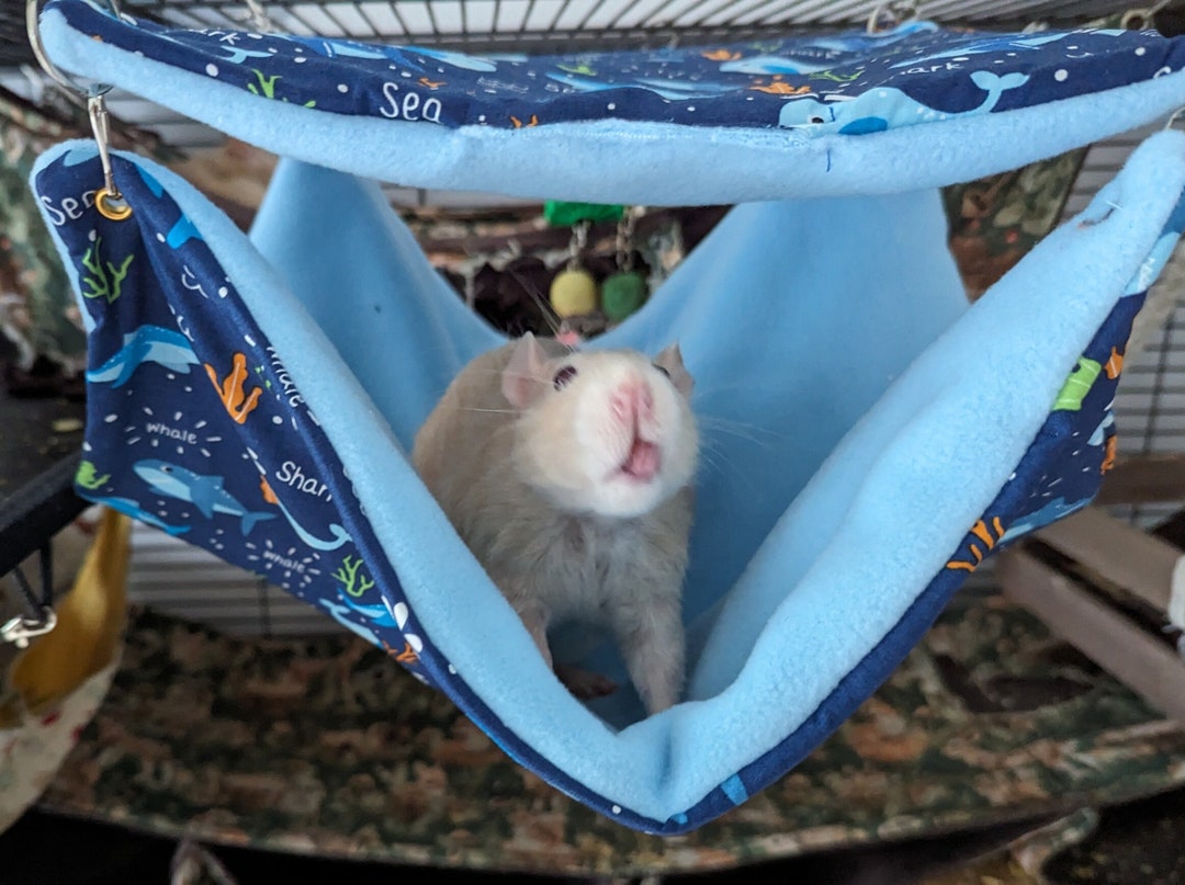 Baby Shark, Rat Hammock, Extra Plush Absorbent Rat Hammock, Dubble ...