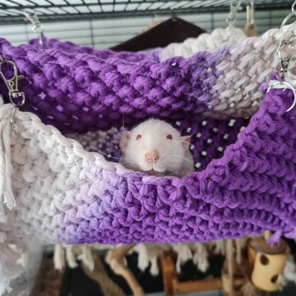 Rat Hammock - Etsy