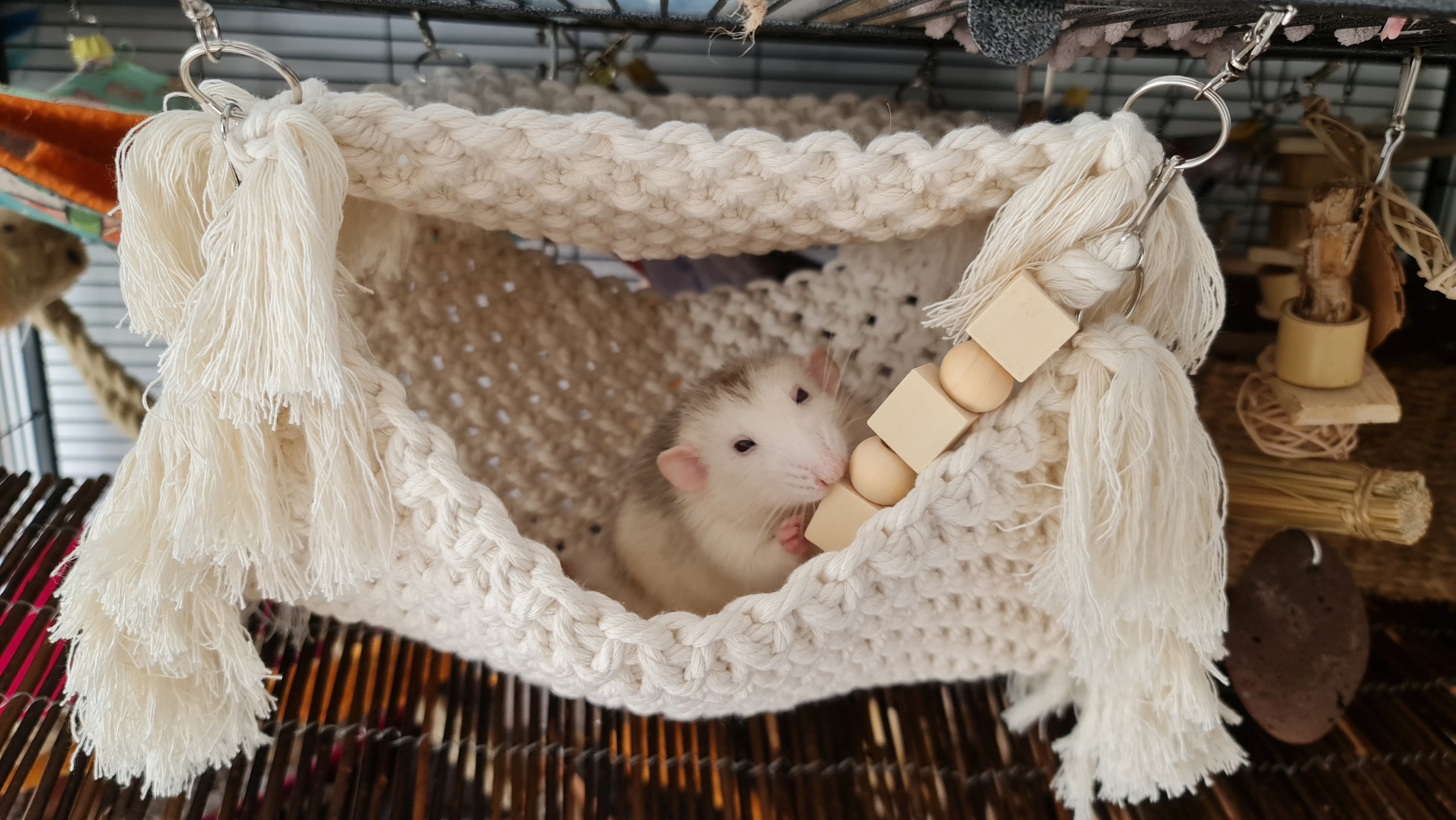 Rat Hammock Macrame Hammock Rat Hammock Set - Etsy UK