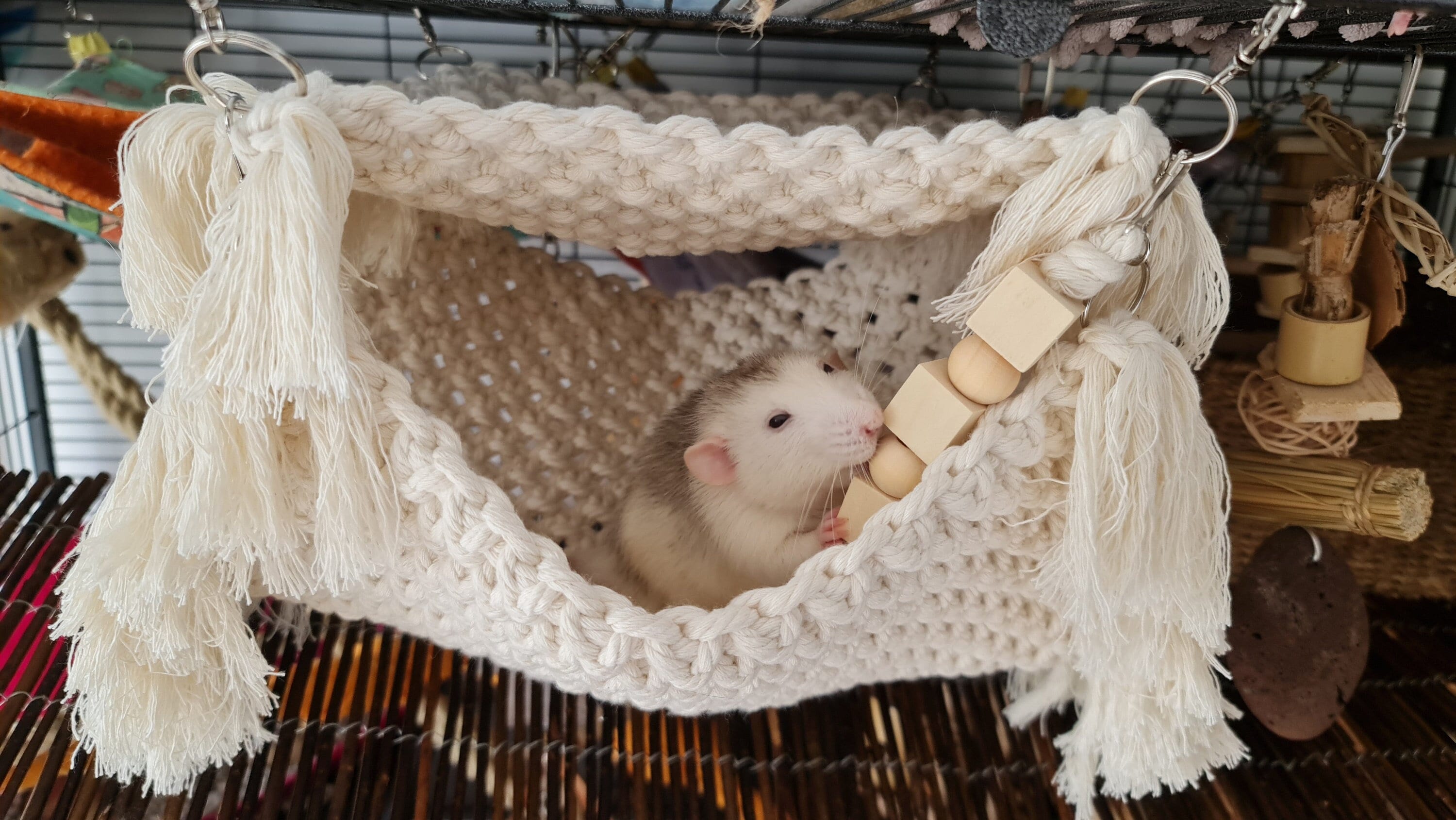 Rat Hammock Macrame Hammock Rat Hammock Set - Etsy UK