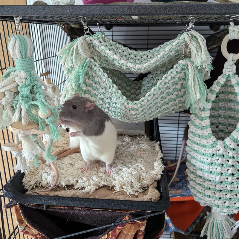 Rat Hammock - Etsy