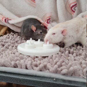 Rat Puzzle Cup Toy, Foraging Toy for Rats - Etsy