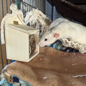 Rat Puzzle Toy, Rat Treat Box, Rat Enrichment - Etsy