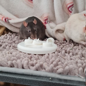 Rat Puzzle Cup Toy, Foraging Toy for Rats - Etsy