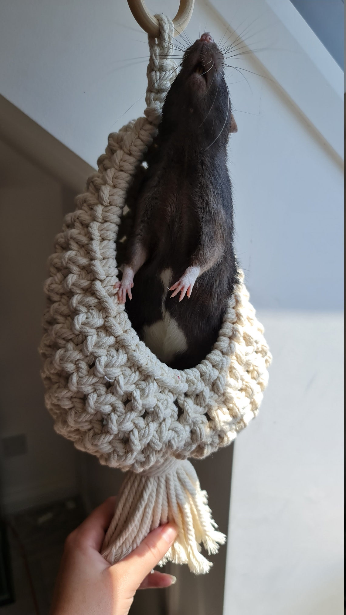 Hanging rat nesting pod macrame pod | Etsy