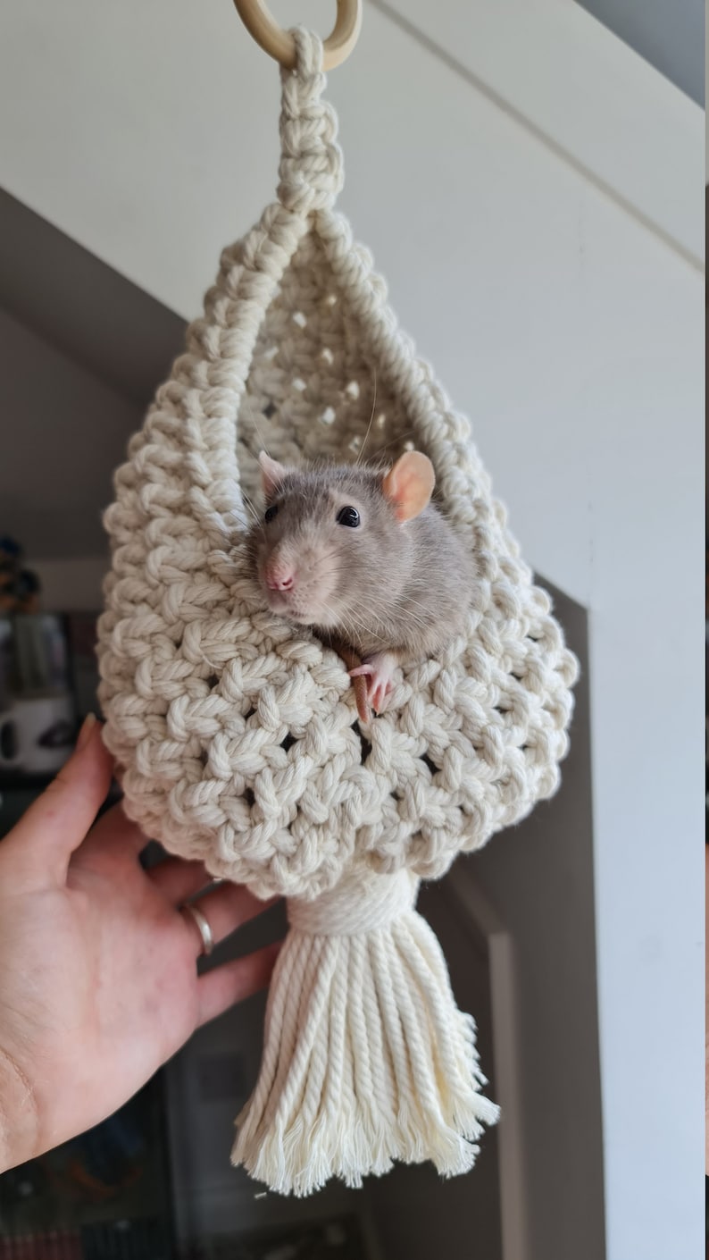 Hanging Rat Nesting Pod Macrame Pod - Etsy