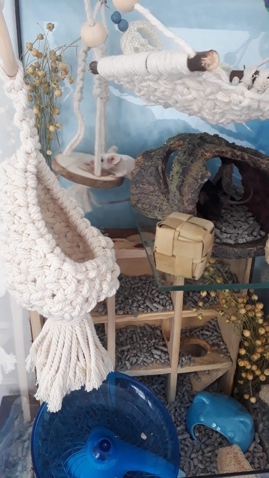 Hanging Mouse Nesting Pod, Macrame Pod - Etsy UK