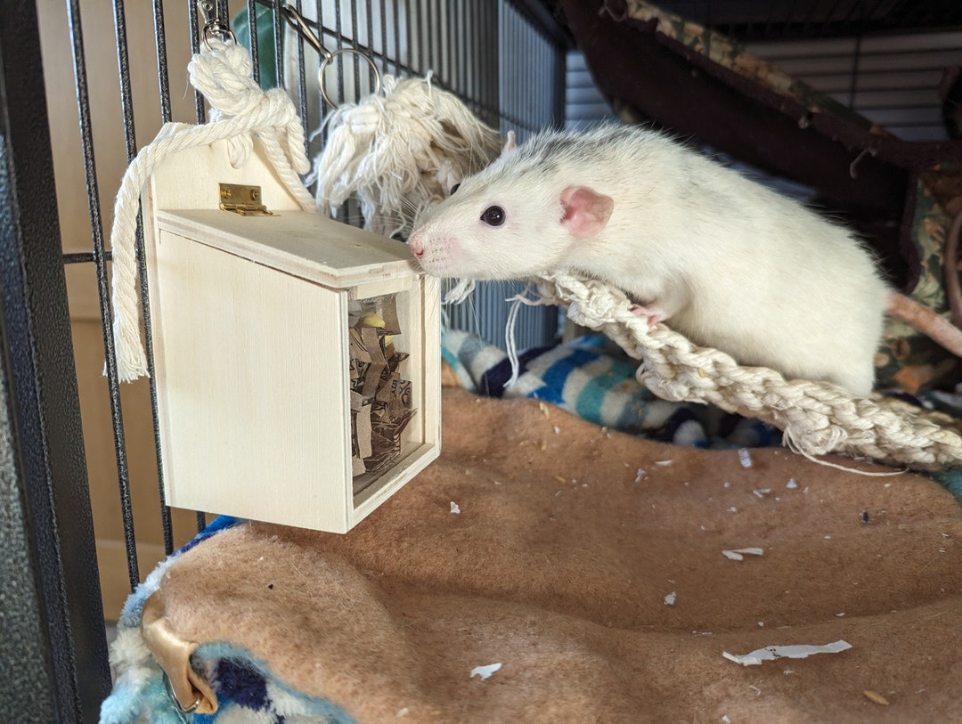 Rat Puzzle Toy, Rat Treat Box, Rat Enrichment - Etsy