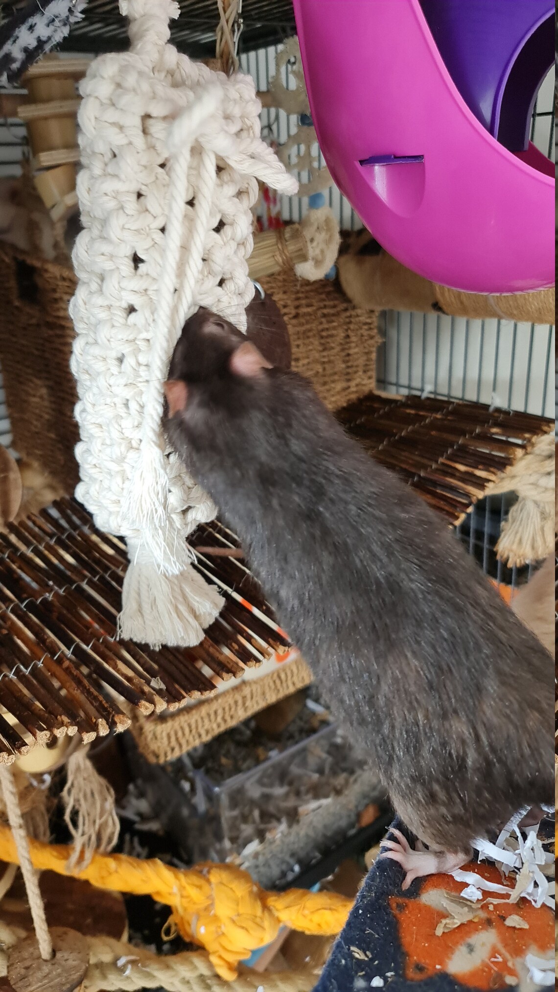 Rat Macrame Treat Pouch Foraging Toy - Etsy