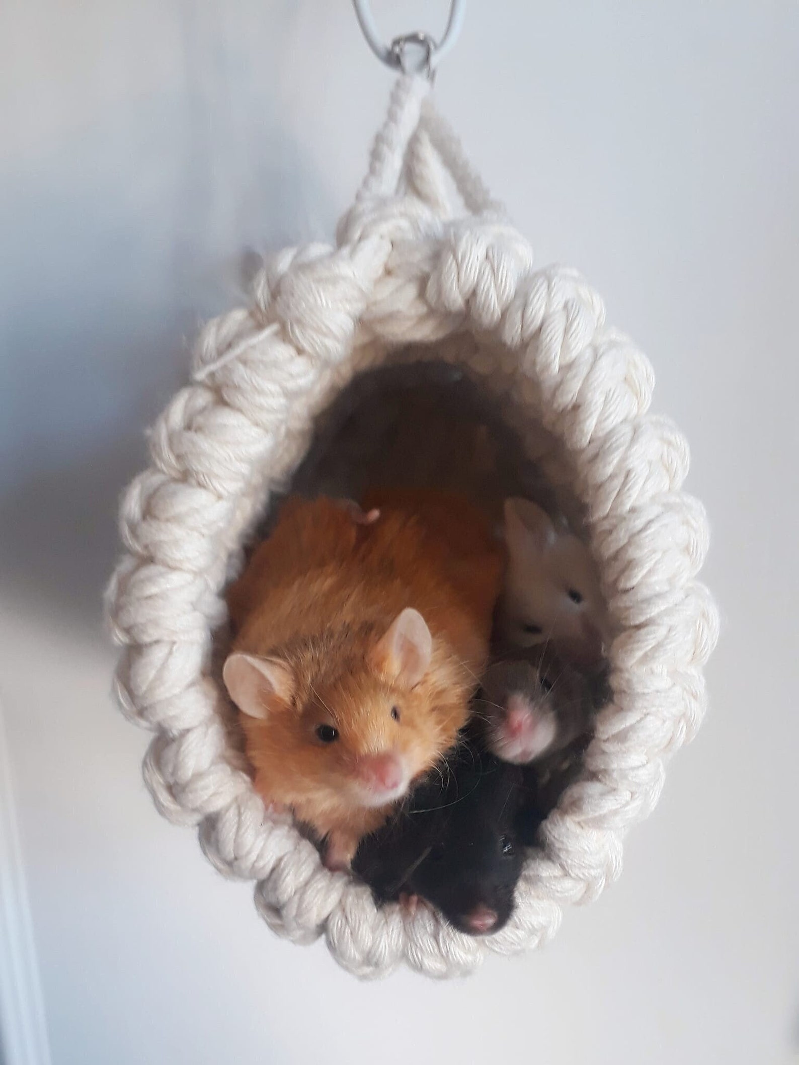 Mouse Tunnel Macrame Tunnel Hamster Tunnel - Etsy Canada
