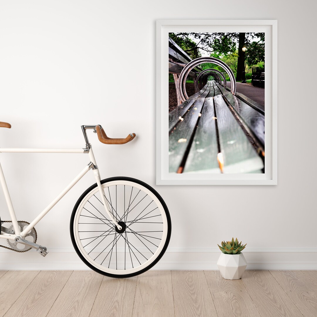 Bench Perspective on Central Park Urban Photography Street Photography ...