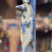 Ancient Egyptian God Thoth Thoth God of Moon Egyptian Thoth. - Etsy