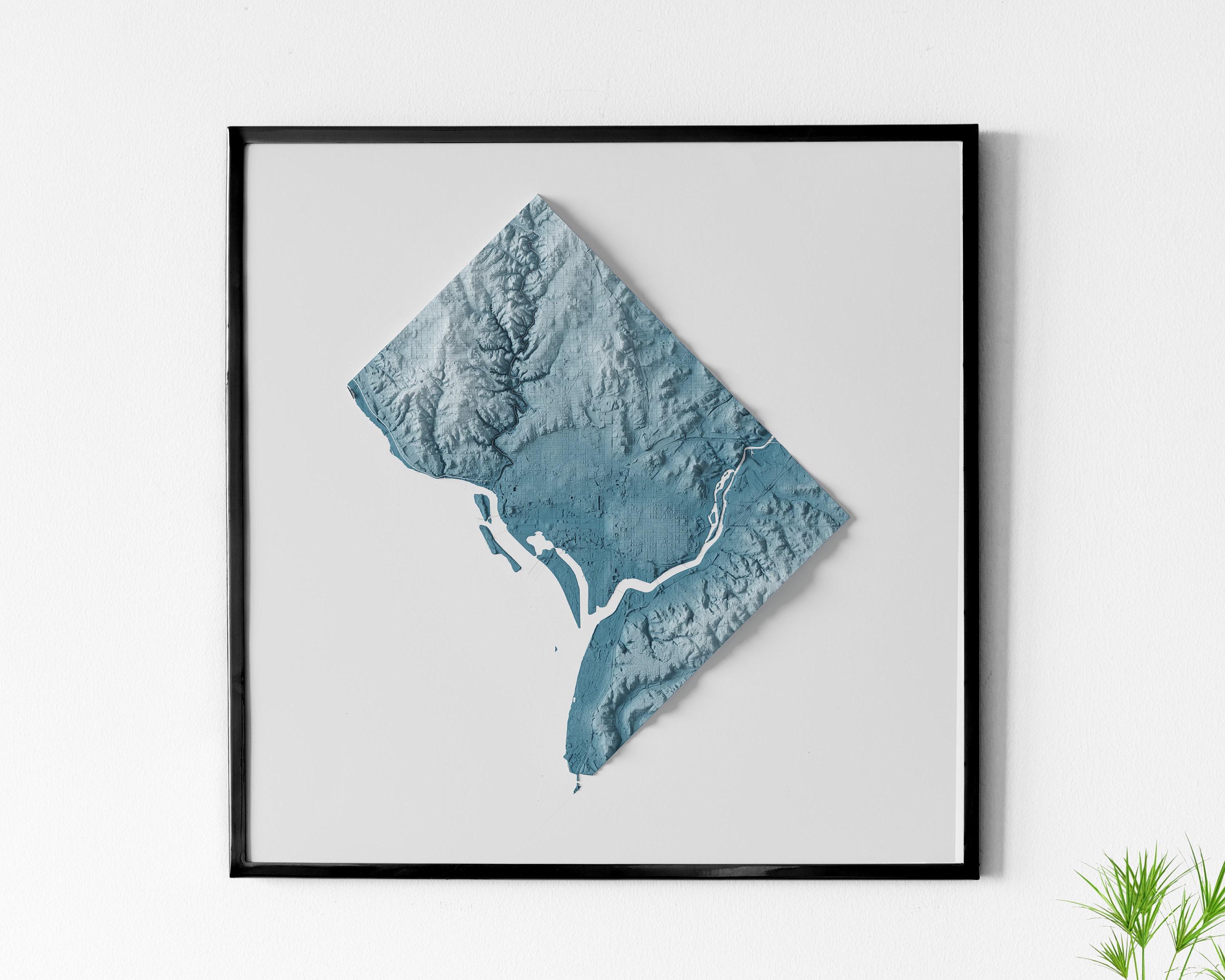 Washington D.C. Shaded Relief Map Natural Topographic - Etsy