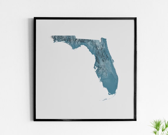 Florida Shaded Relief Map Natural Topographic | Etsy