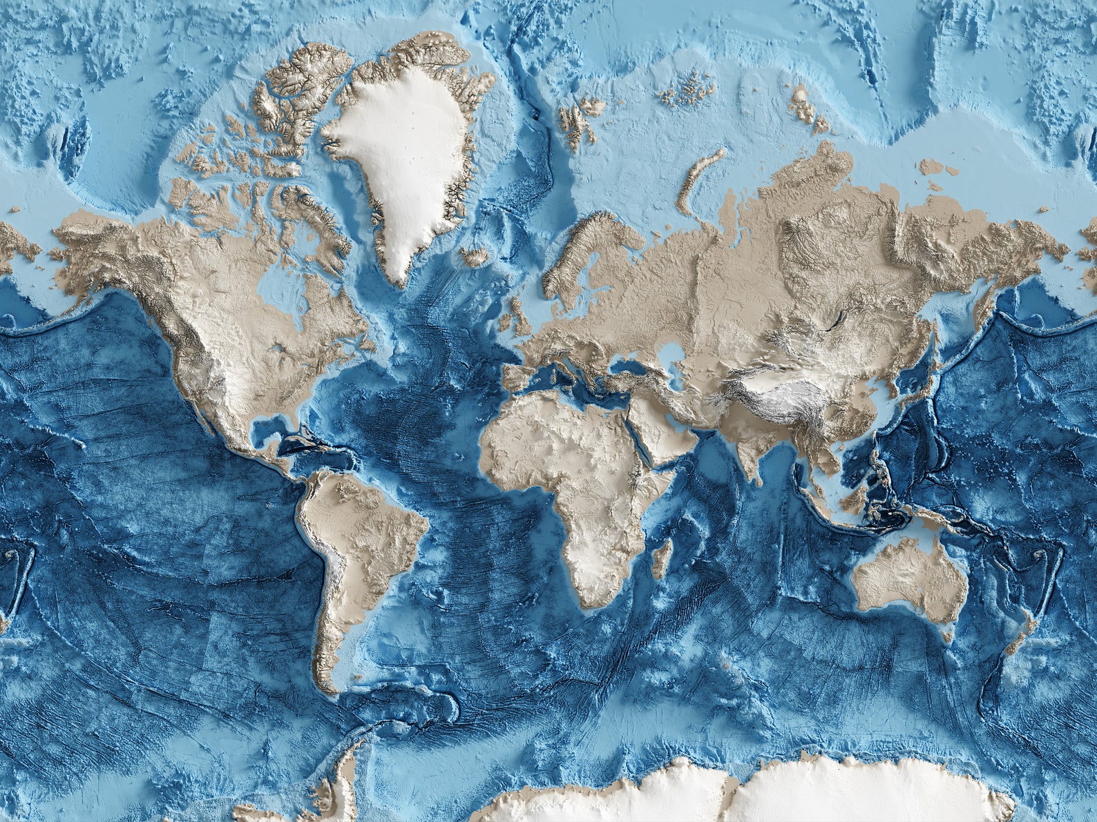 World Topography Including Ocean Floor- Shaded Relief Map - Etsy