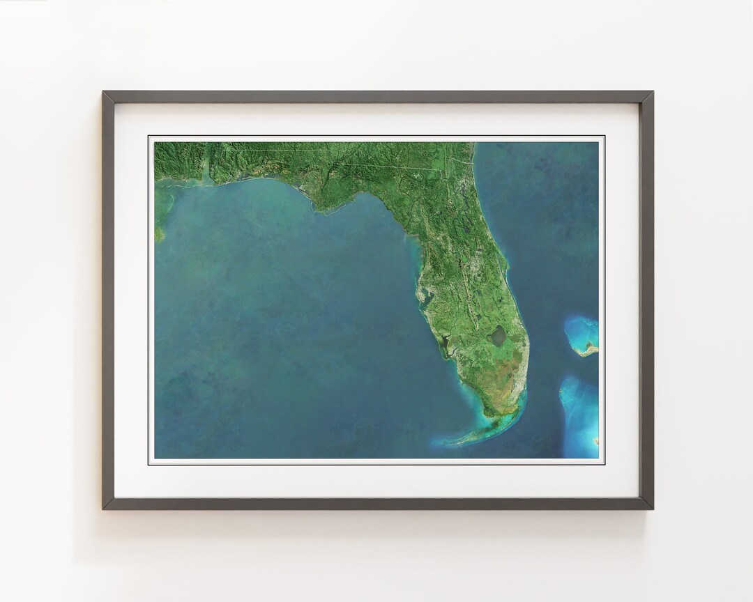 Florida, U.S.A. - Shaded Relief Map - Imagery - Etsy