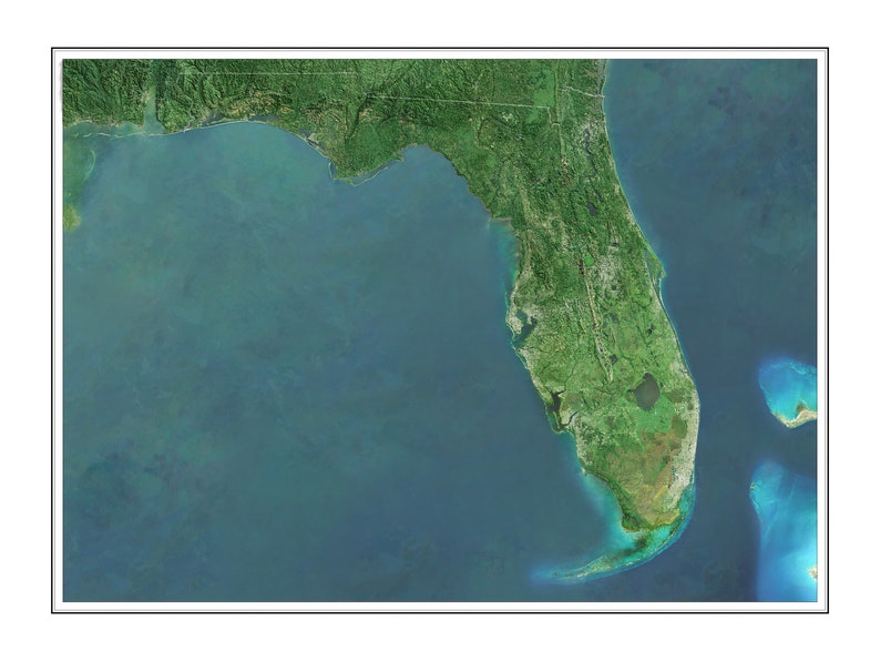 Florida, U.S.A. - Shaded Relief Map - Imagery - Etsy