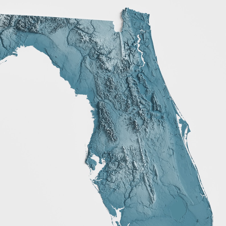 Florida Shaded Relief Map Natural Topographic - Etsy