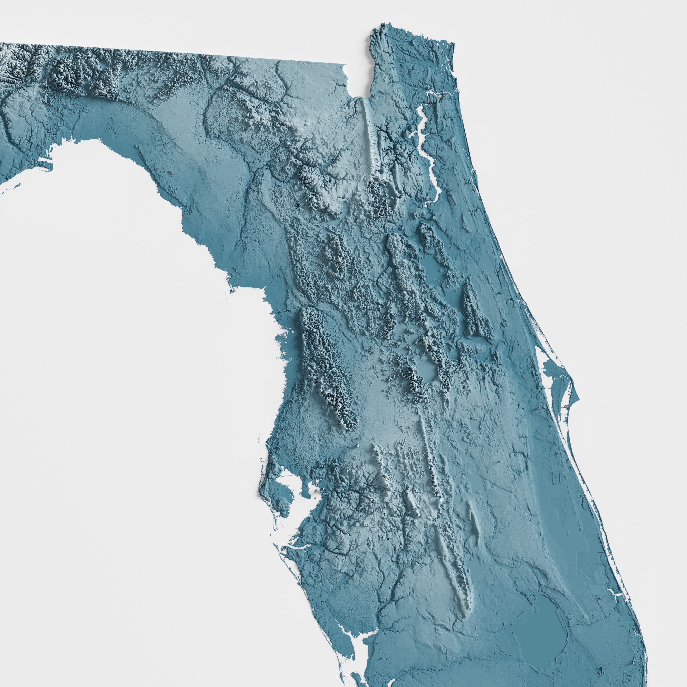 Florida Shaded Relief Map Natural Topographic - Etsy