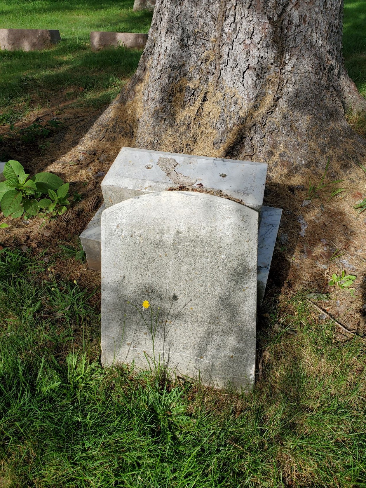 Monument Setting Compound - Quart - Etsy