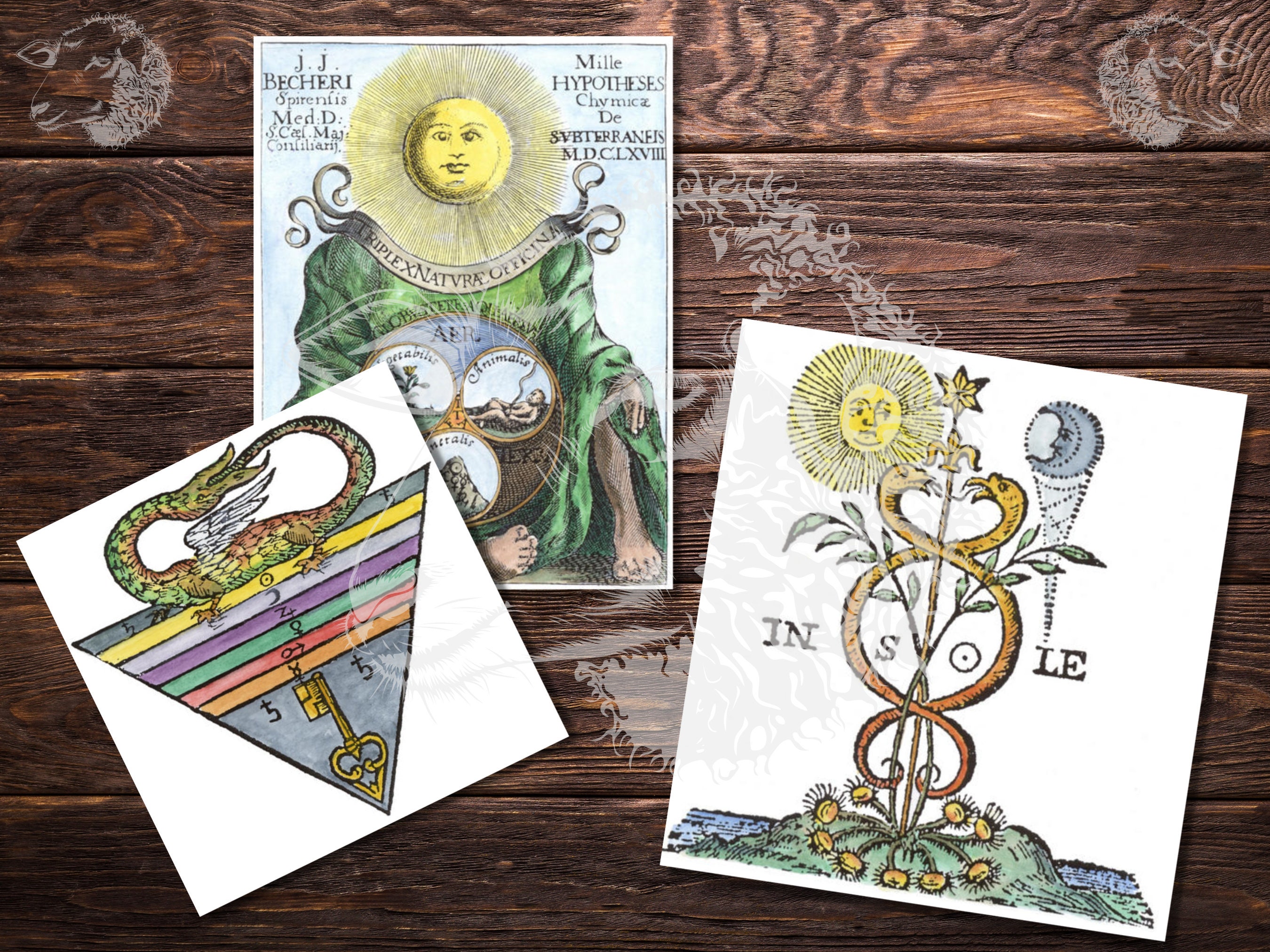 Alchemy Imagery, Diagrams, & Emblems HUGE 350 Bundle of Digitalized ...