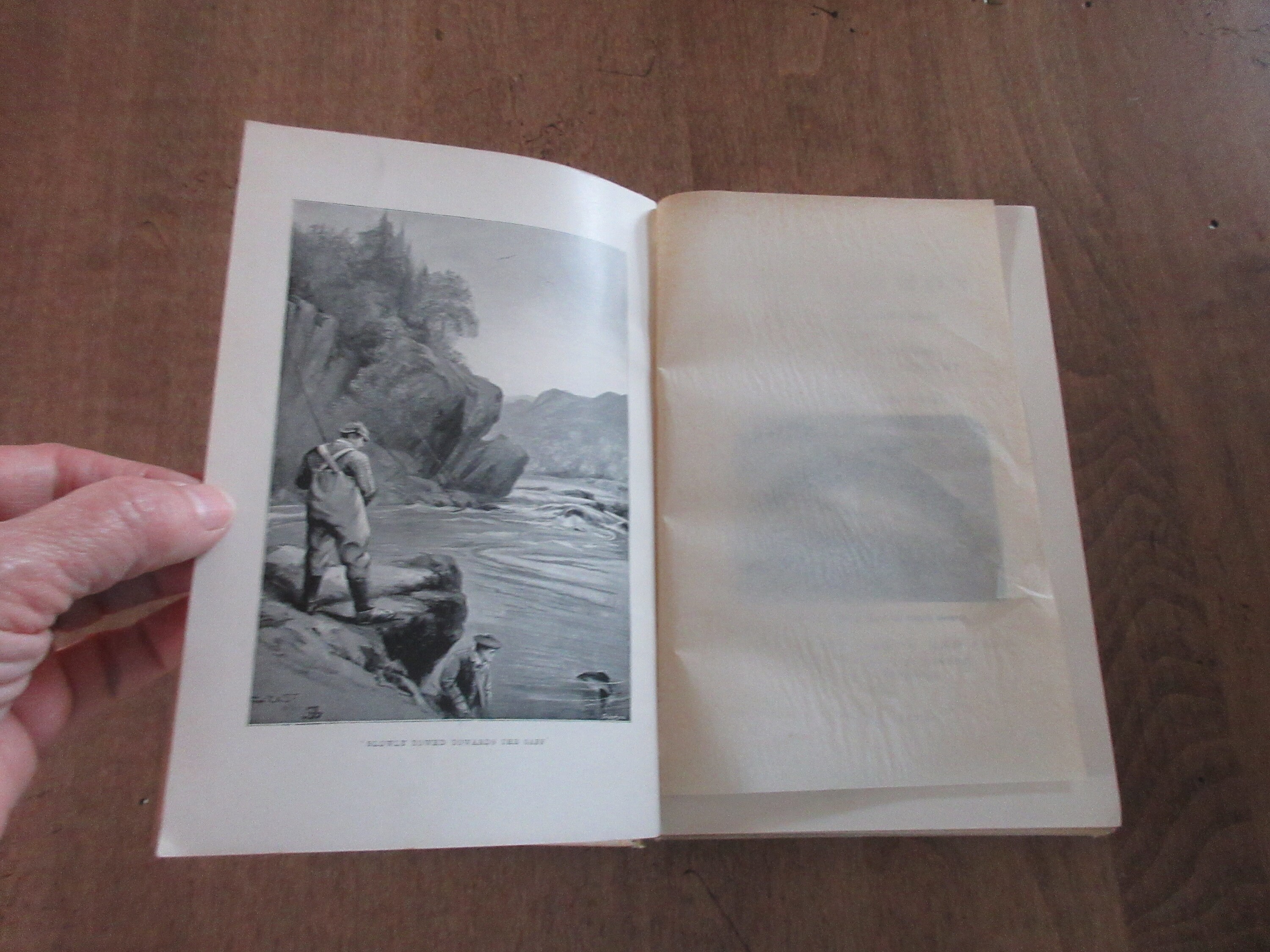 1898 Fur Feather and Fin Series Book the Salmon by Hon A. E. - Etsy