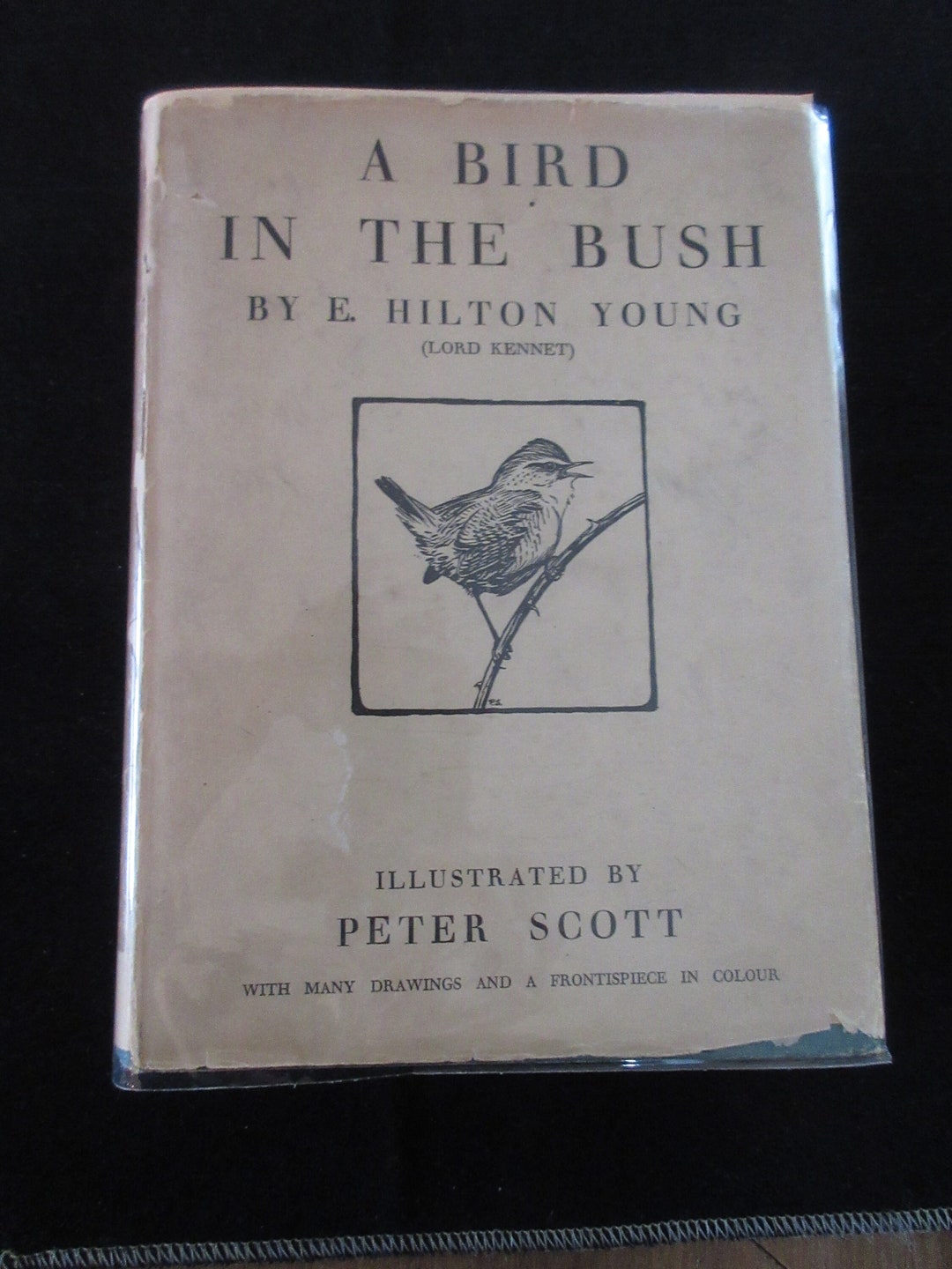 1936 1st Edition - A Bird in the Bush Book by E. Hilton Young (lord ...