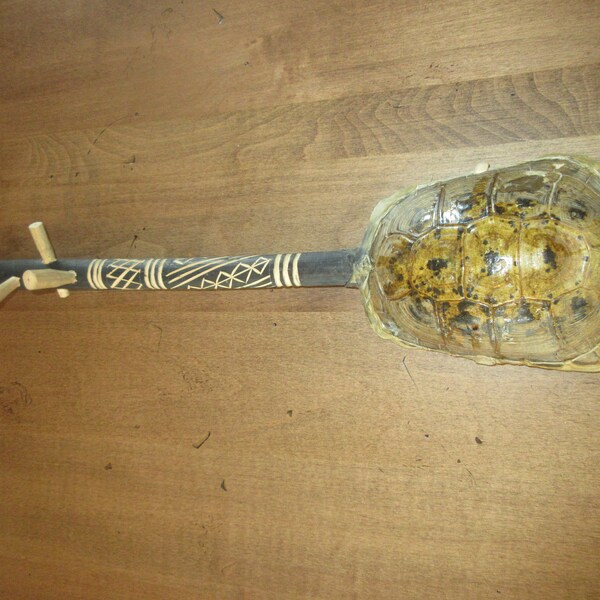 Native Turtle Shell - Etsy