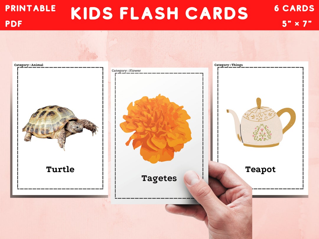 Alphabet "t" Flash Cards - Children's Learning Material - Educational ...